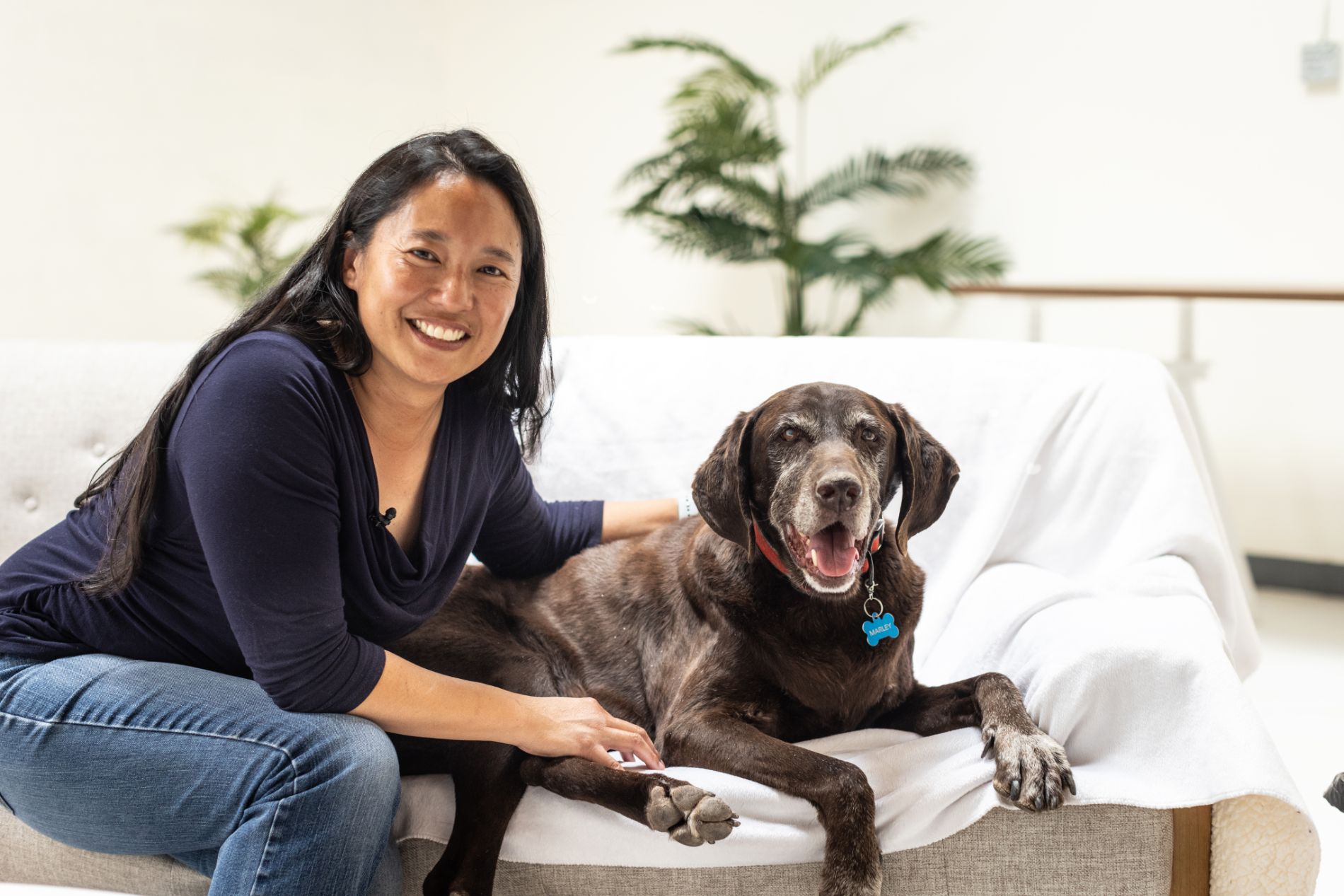 | Multicultural Veterinary Medical Association News
